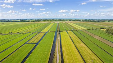 Deelgebieden - Veenweiden Krimpenerwaard