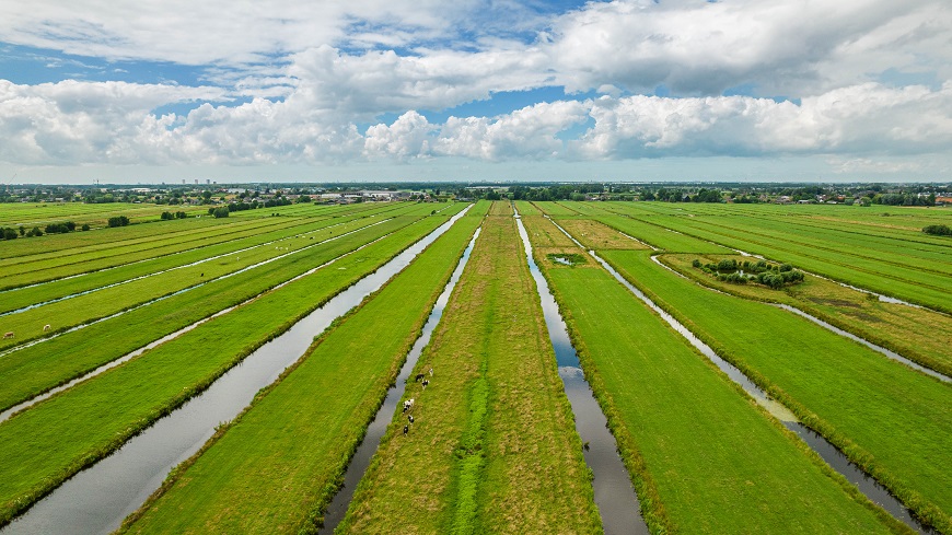 Het gebied - Veenweiden Krimpenerwaard